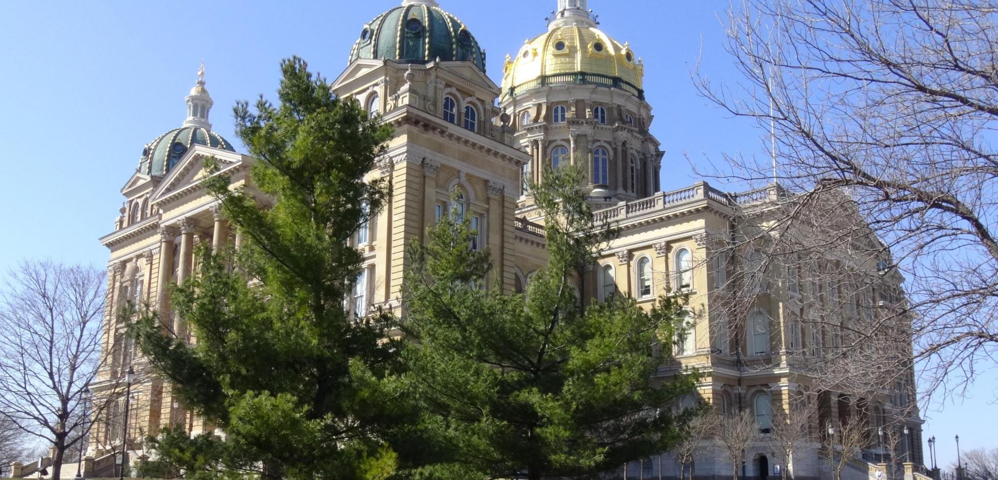 🤩 It's Election Day: Go Vote Pro-Gun! - Iowa Gun Owners